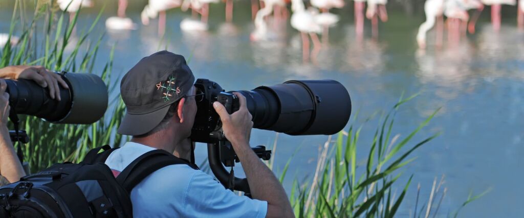 Guide pour savoir comment devenir photographe animalier